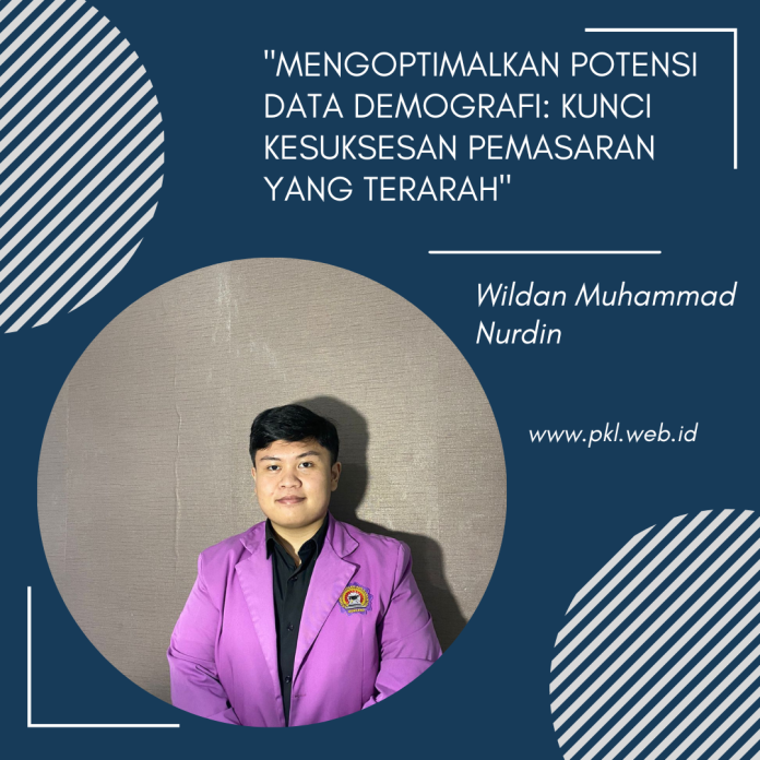 ""Mengoptimalkan Potensi Data Demografi: Kunci Kesuksesan Pemasaran ...